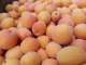 List of Fruits and Fruits Sodium