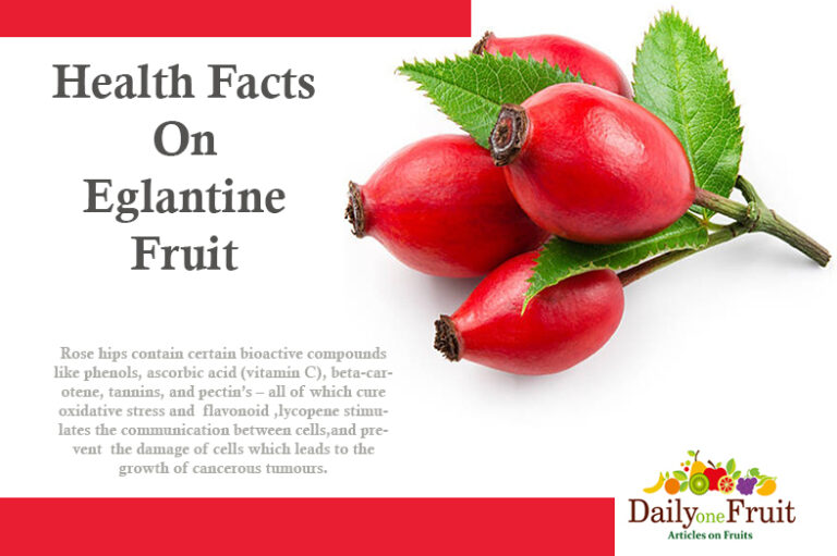 Health Fact On Eglantine Fruit - dailyonefruit
