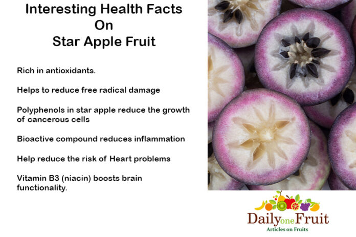Interesting Facts On Star Apple fruit - dailyonefruit