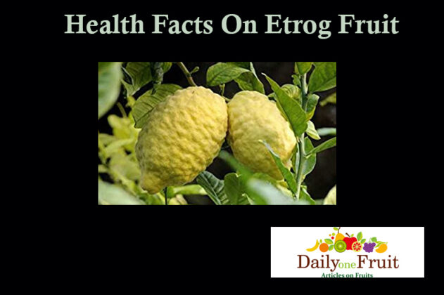 Health Facts On Etrog Fruit - dailyonefruit