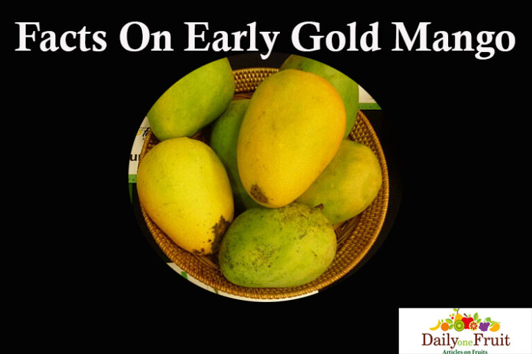 Health Facts On Early Gold Mango - dailyonefruit